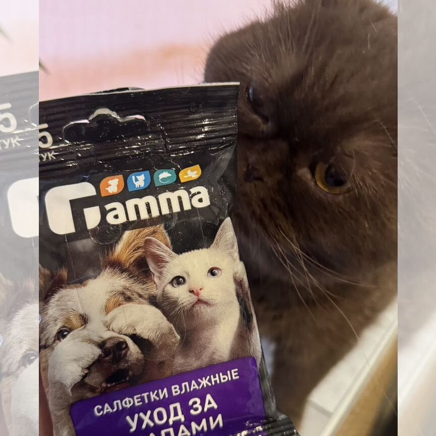 Набор влажных салфеток для ухода за лапами 3шт