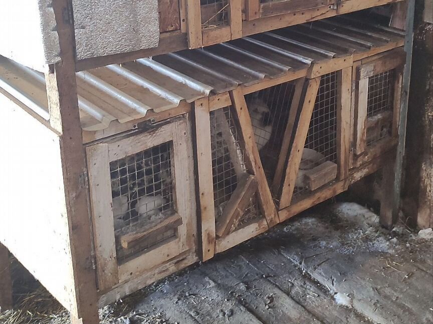 Клетка для кроликов