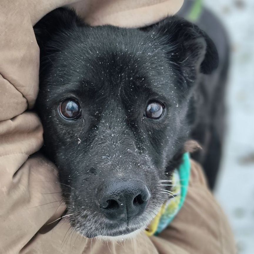 Ты ещё можешь дать ему шанс