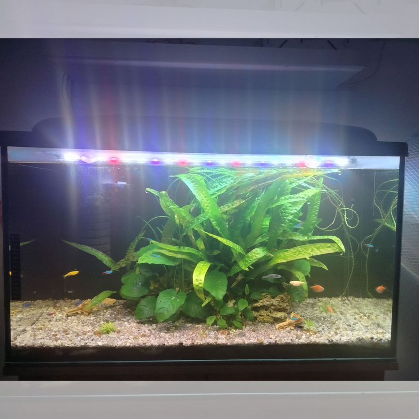 Аквариум с тумбой