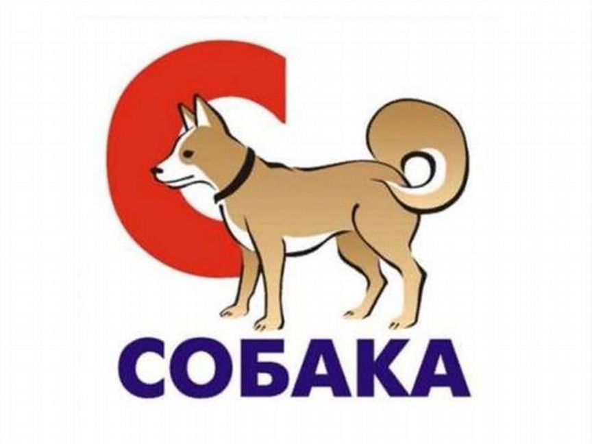 Маленькие собачки щенята в добрые руки отдам