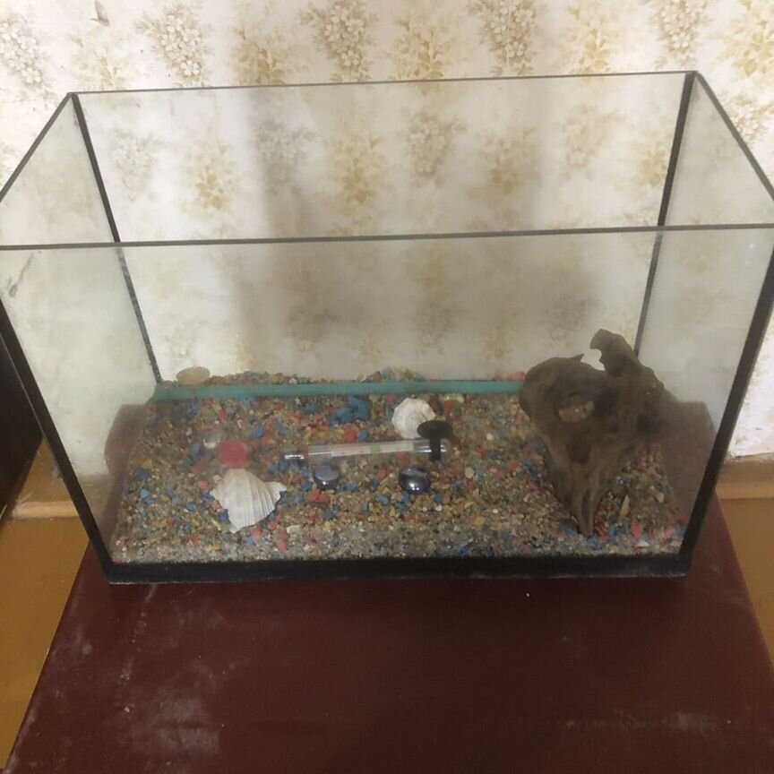 Аквариум