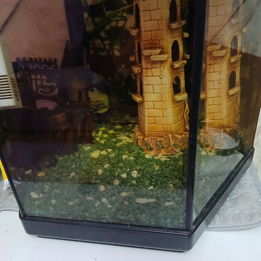 Аквариум с рыбками