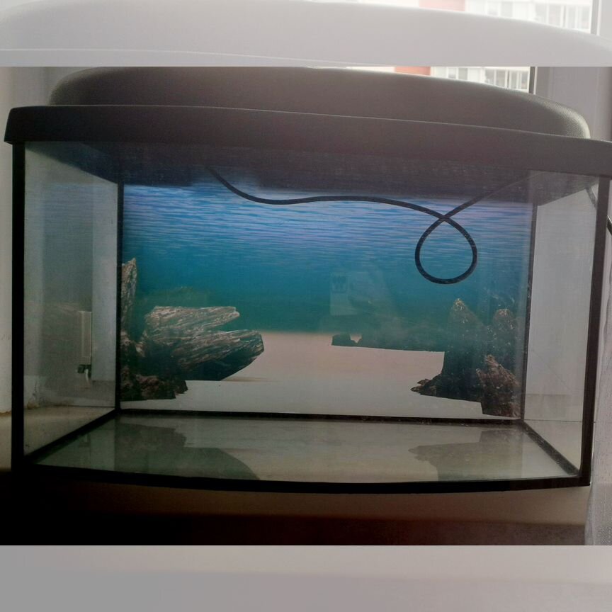 Аквариум