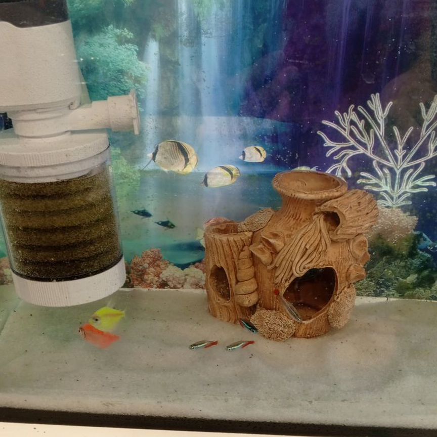 Аквариумная ваза, служит ещё гротом для рыбок