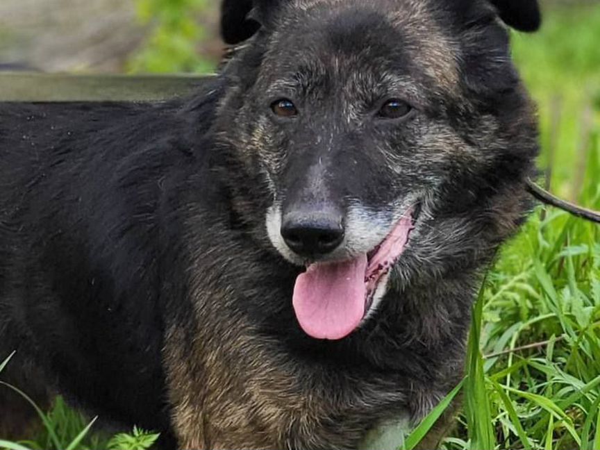 Чудесная Баллин ищет дом