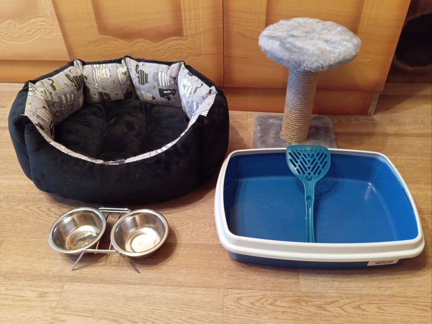 Лежанка, Миски, Лоток, Когтеточка