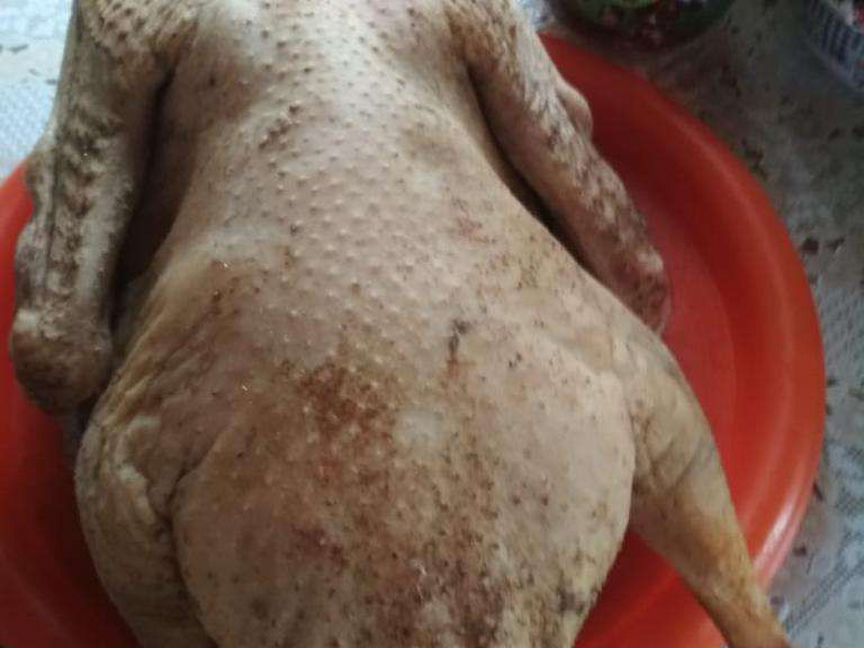 Гусь домашняя мясо