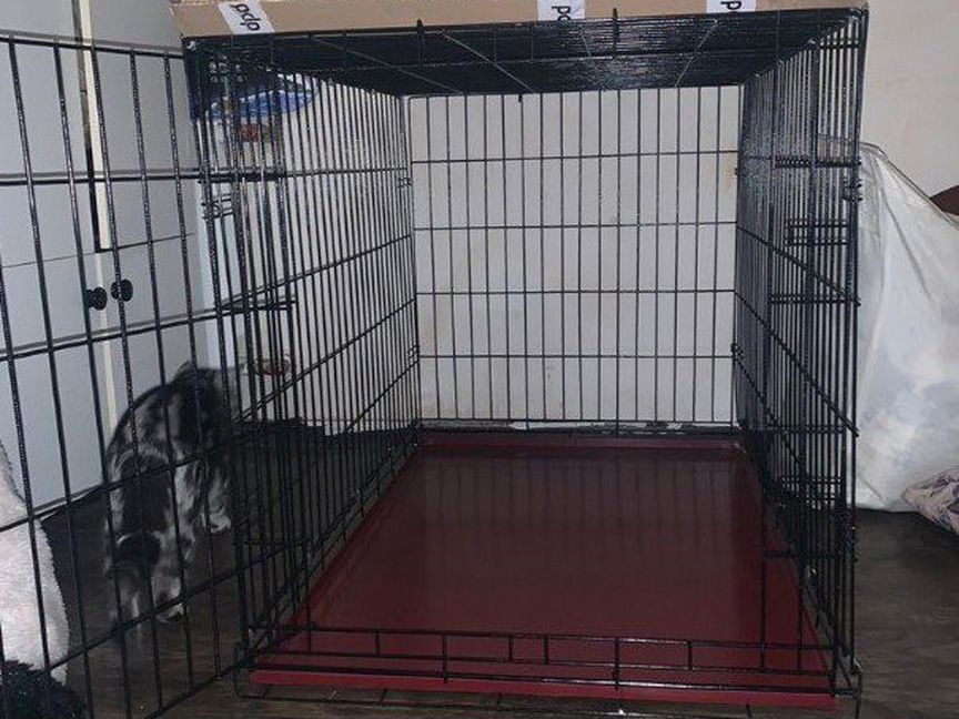 Клетка для собаки складная металлическая споддоном