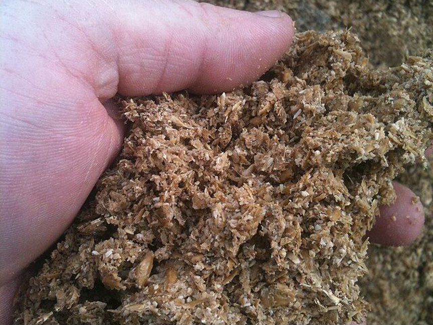 Пивная дробина для скота