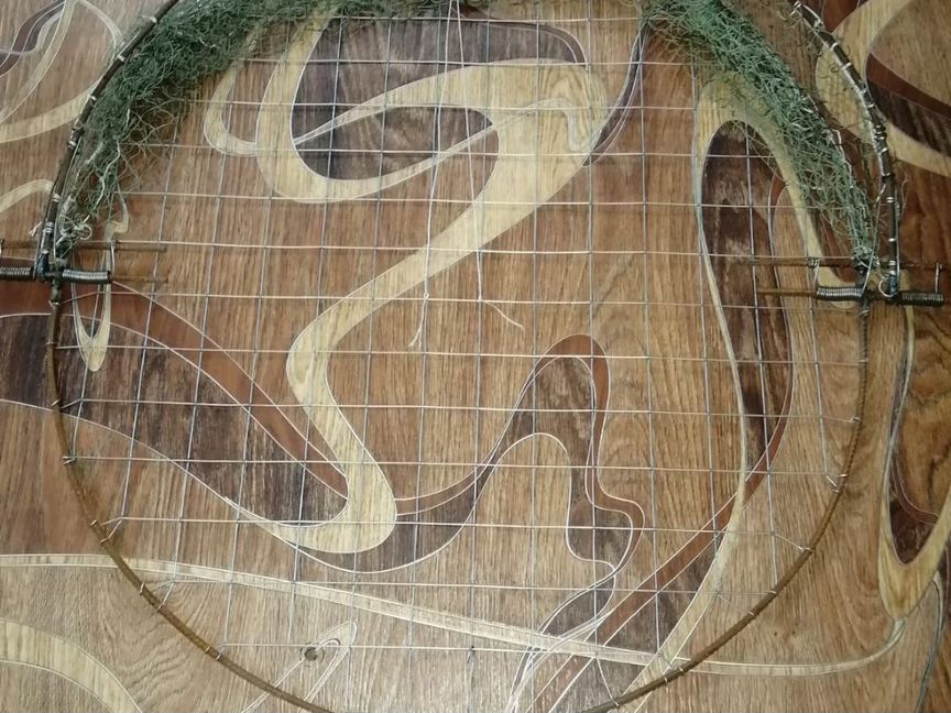 Ловушка для кошек, котов