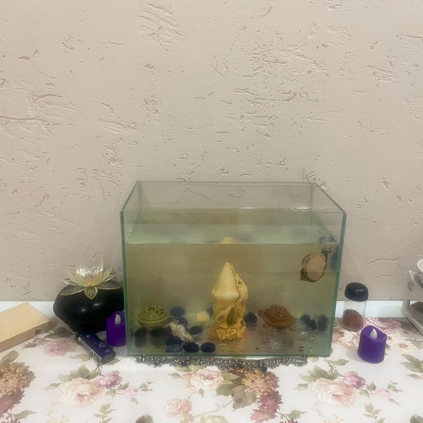 Аквариум на 10 литров