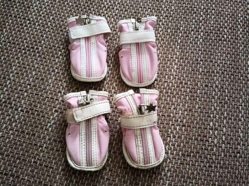 Обувь для маленьких собак