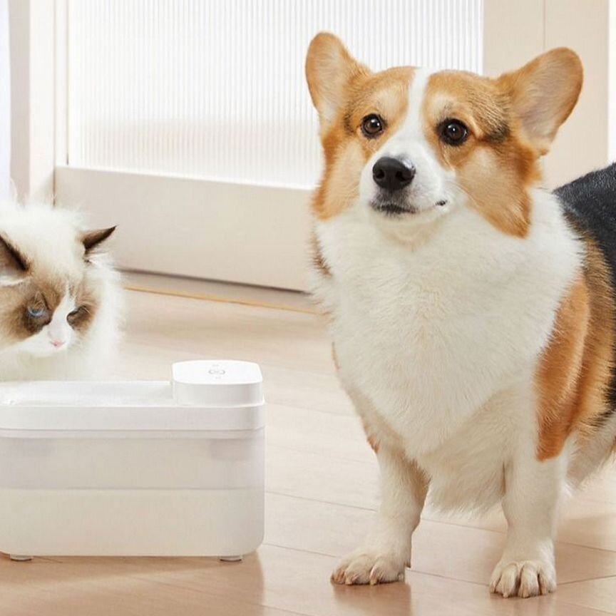 Умная и беспроводная поилка Mijia SMART Pet Water