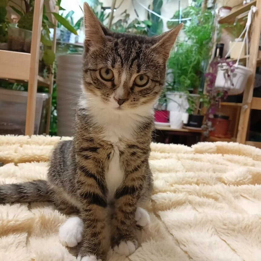 Заводила красотка игривая умная малышка