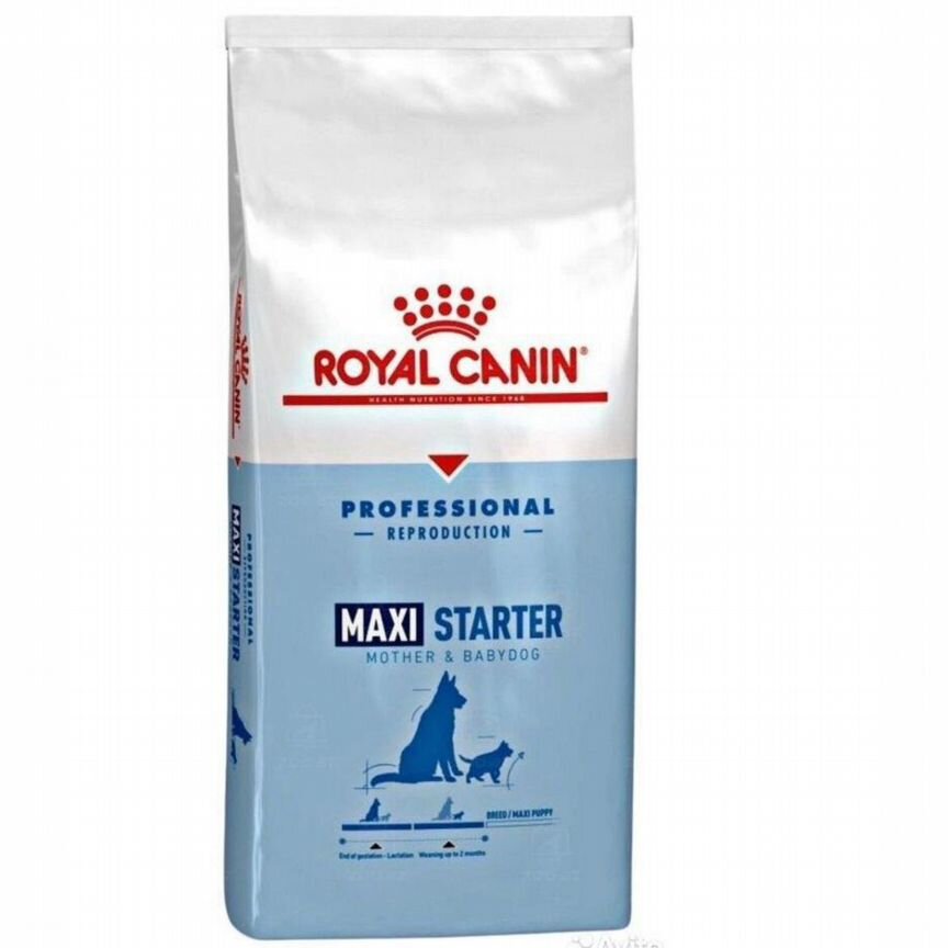 Корм роял конин