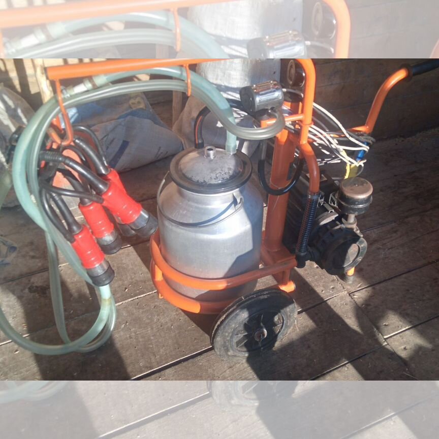 Доильный аппарат для коров бу