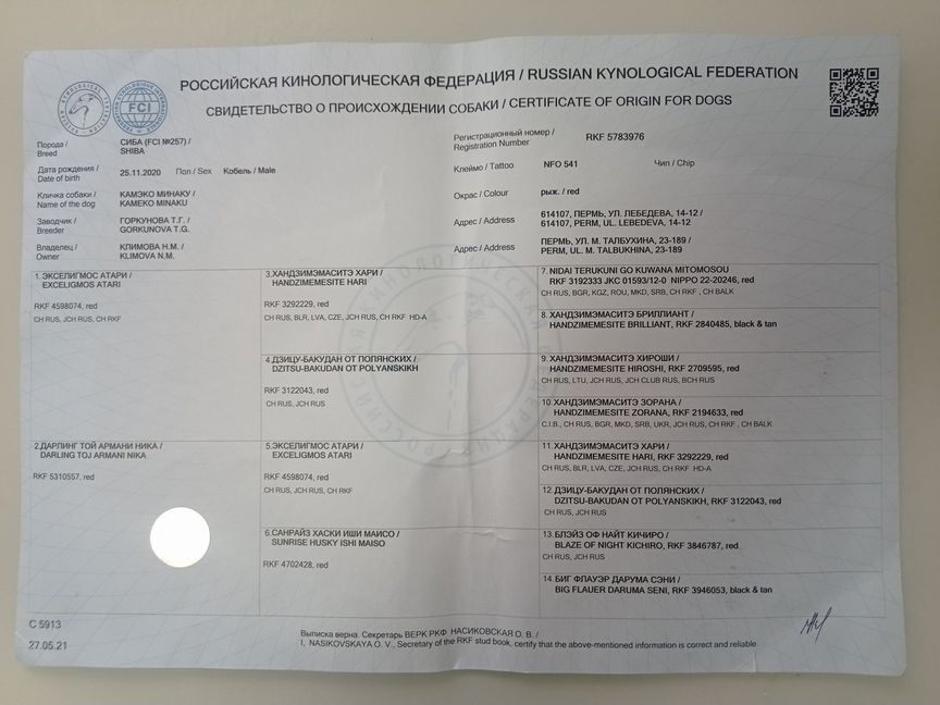 Вязка кобель Сиба