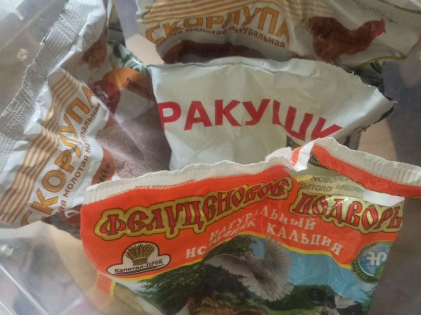 Мел, ракушка, скорлупа