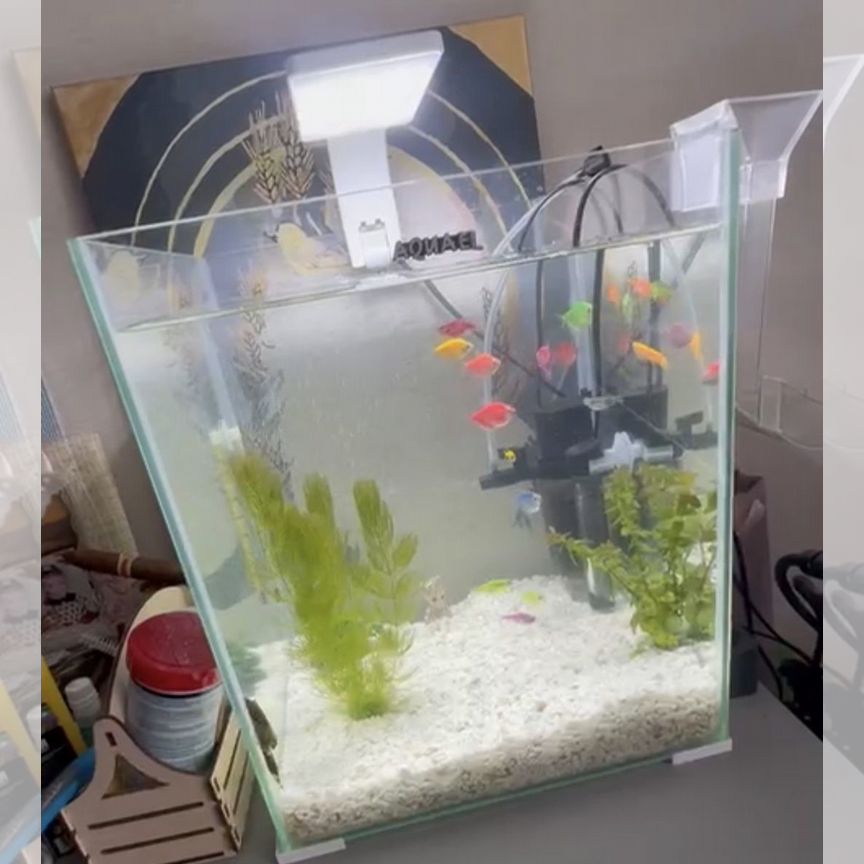 Аквариум 30 литров