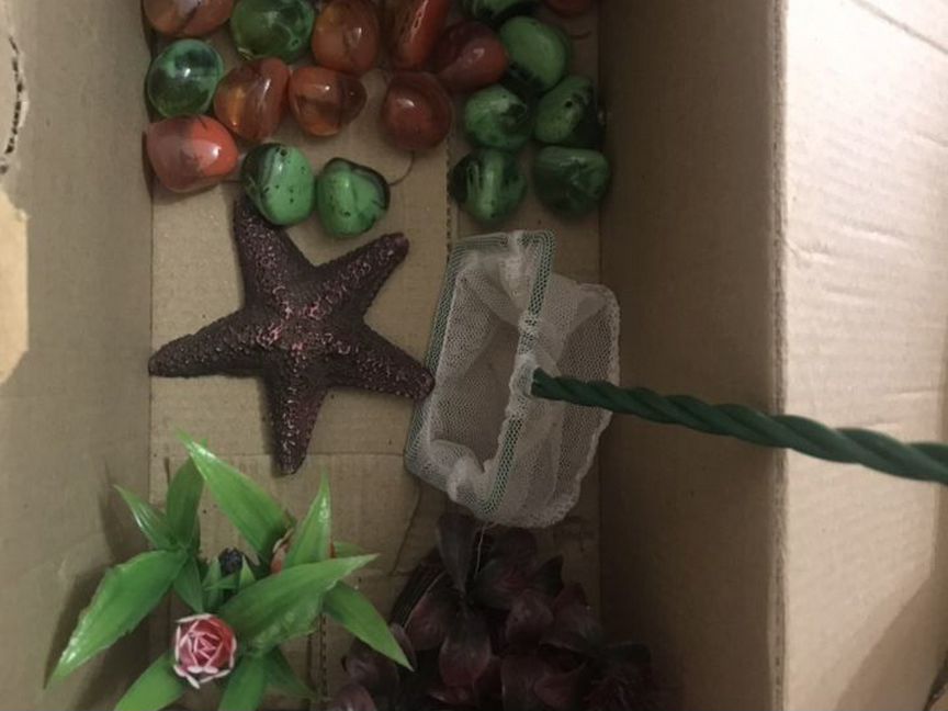 Всё для рыбки Петушок