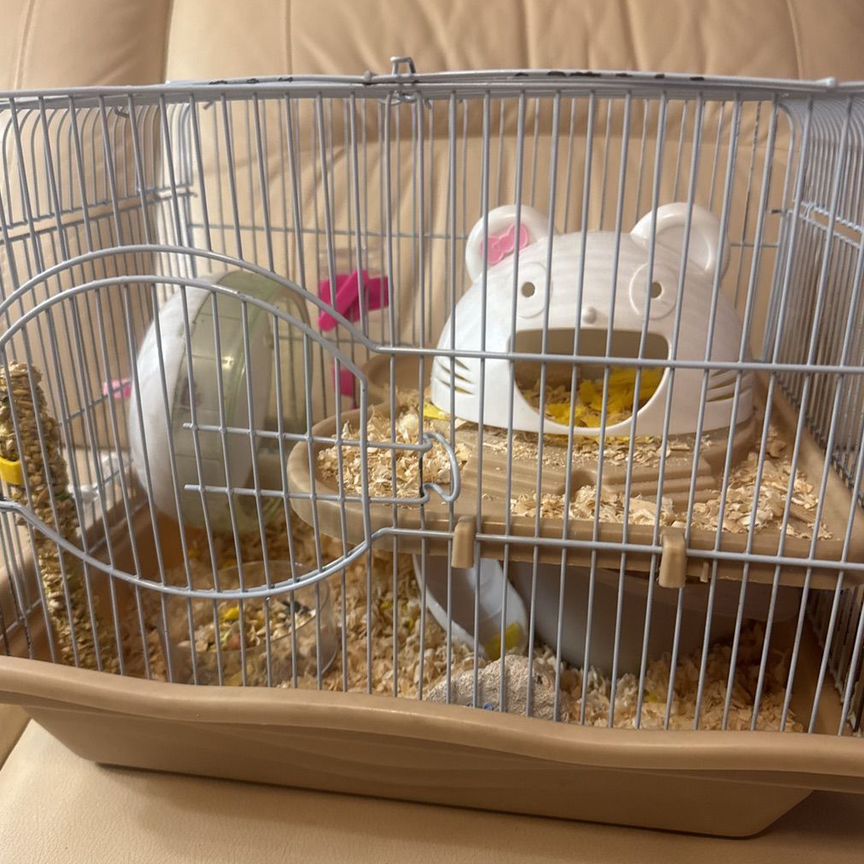 Клетка для джунгарского хомяка