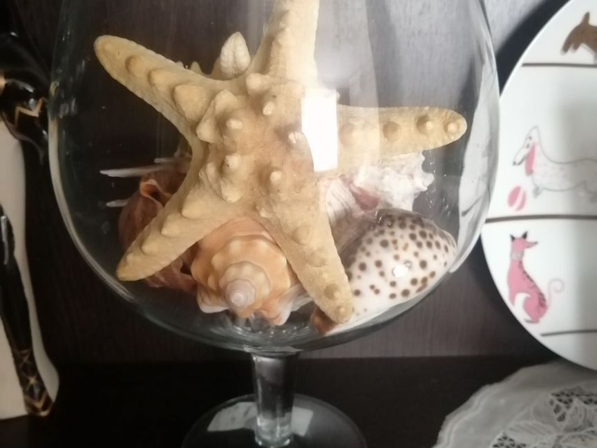 Аквариум 3 литра