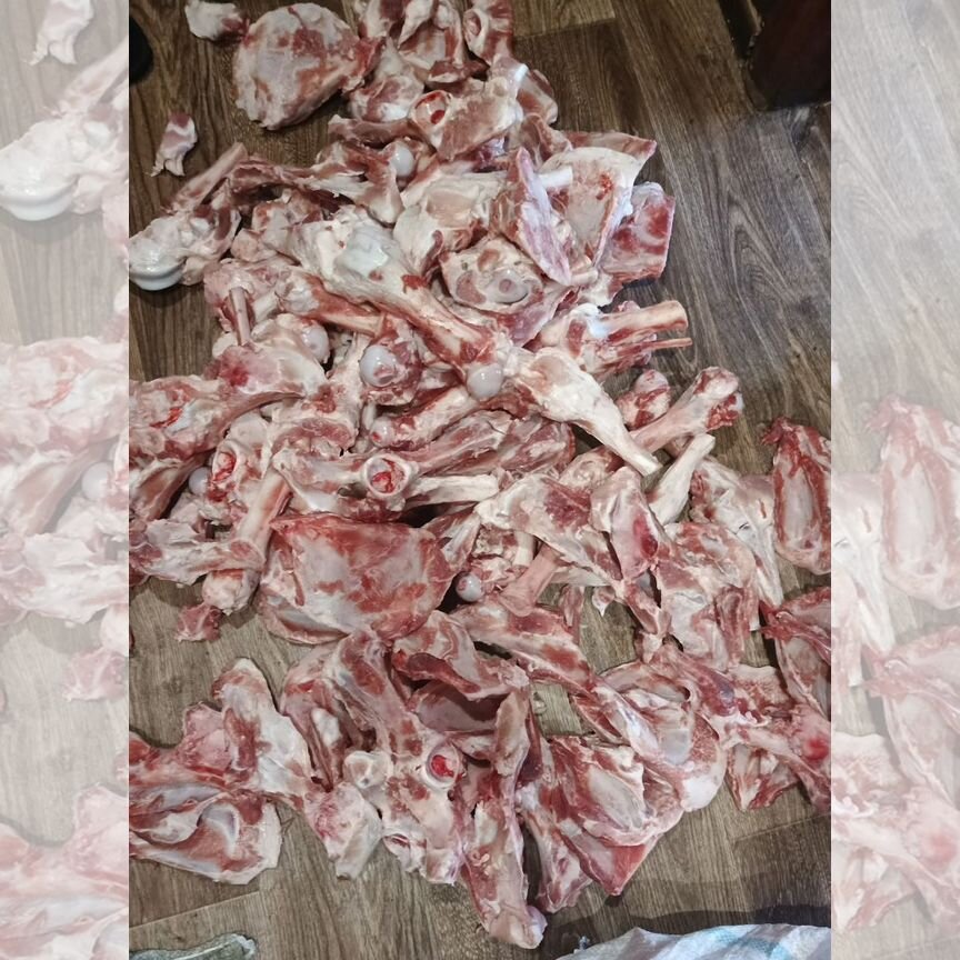 Мясо и кости для собак