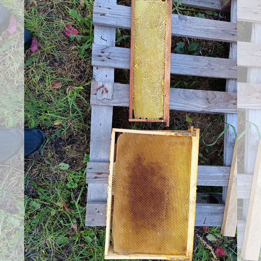 Рамки сушь, рамки вощина