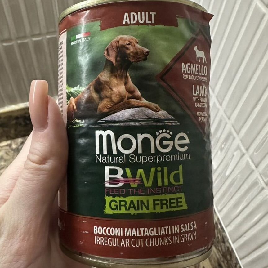 Влажный корм Monge Dog BWild grain free