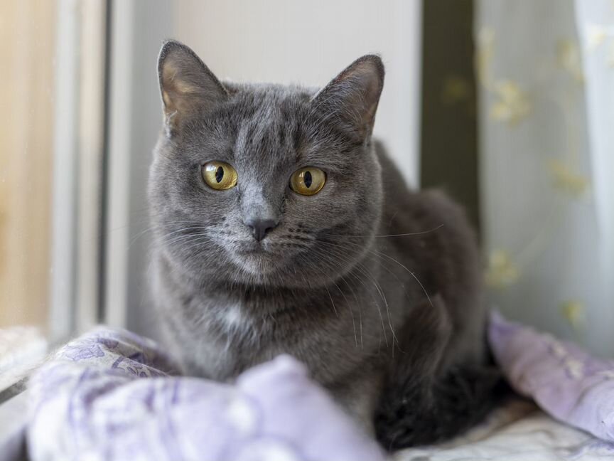 Муся. Комсомолка, спортсменка и просто красавица