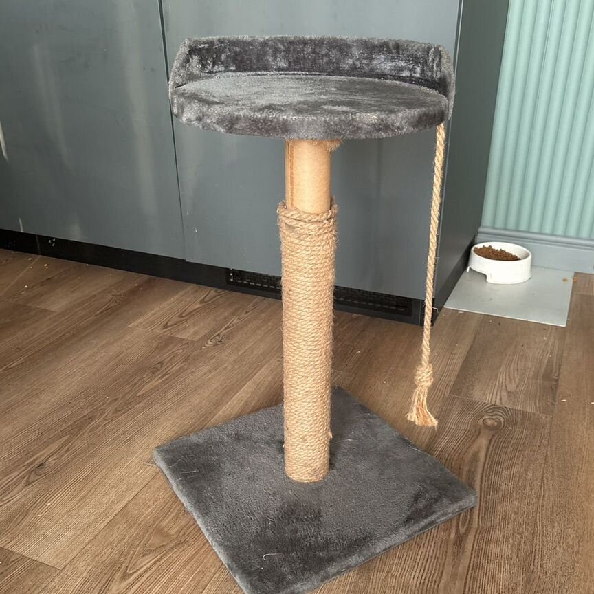 Когтеточка