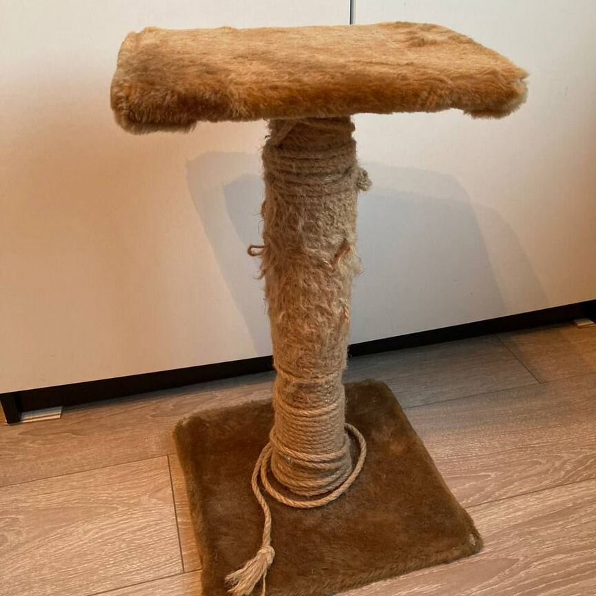 Когтеточка для кошек