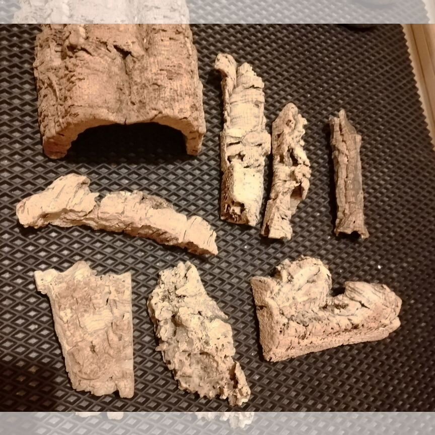 Кора пробкового дуба