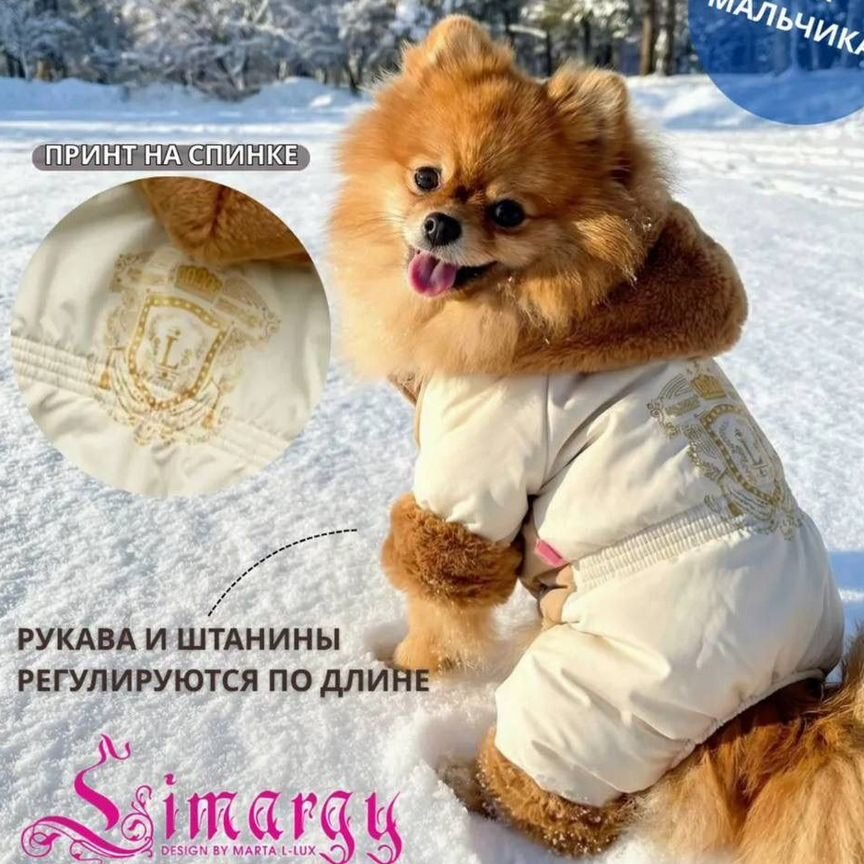 Одежда для собак мелких пород мальчик