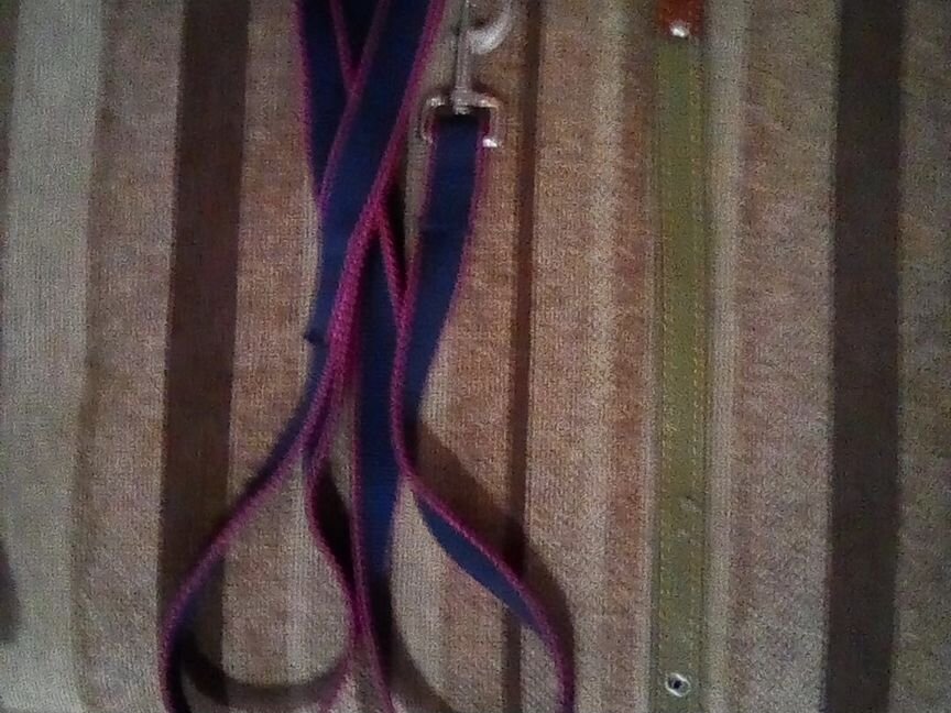 Поводок и ошейник для домашних питомцев