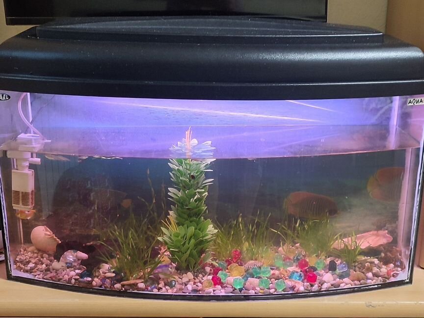 Аквариум 96 л с рыбками
