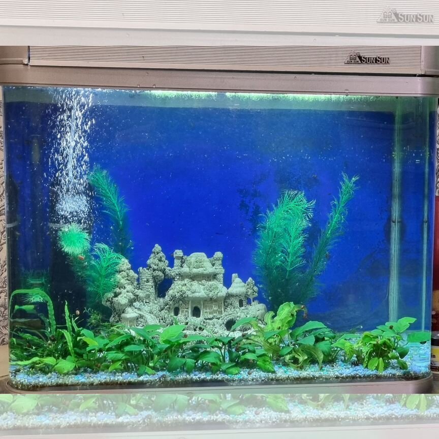 Аквариум 80 литров