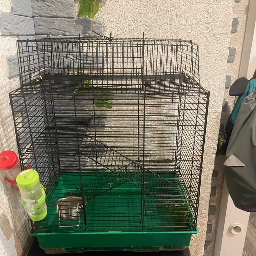 Клетка для крыс бу