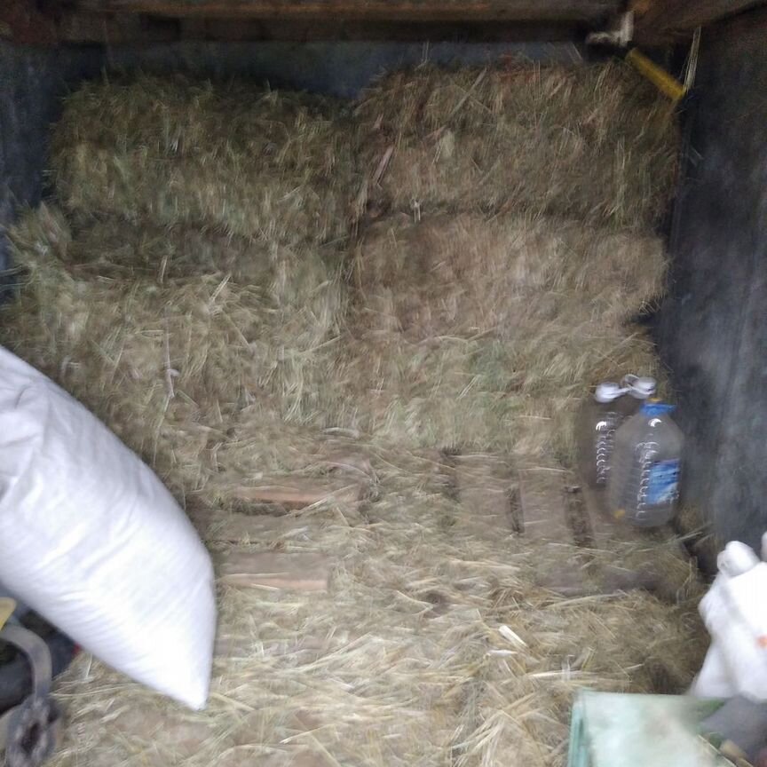 Сено в тюках