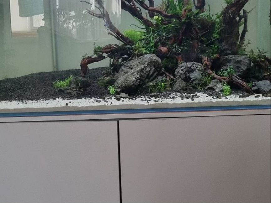 Коряги для аквариума