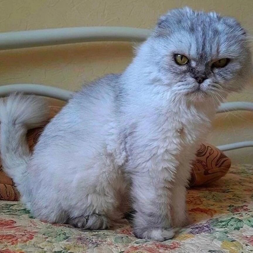 Арсений ищет семью