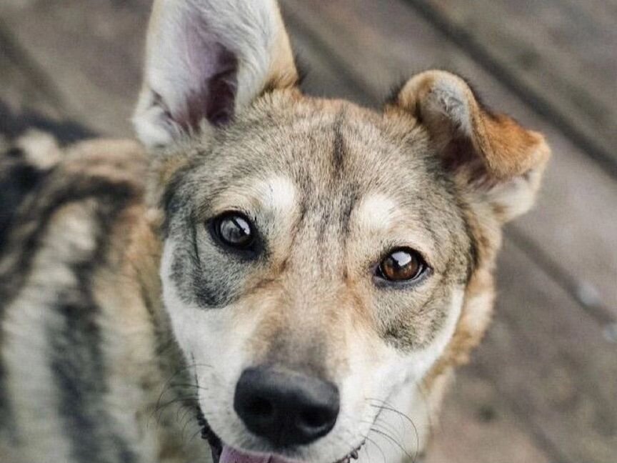 Барни ждет каждую минуту
