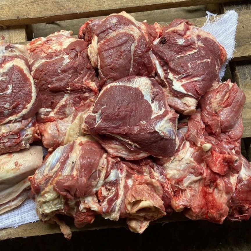 Свежее мясо Натуральное Лакомства для собак