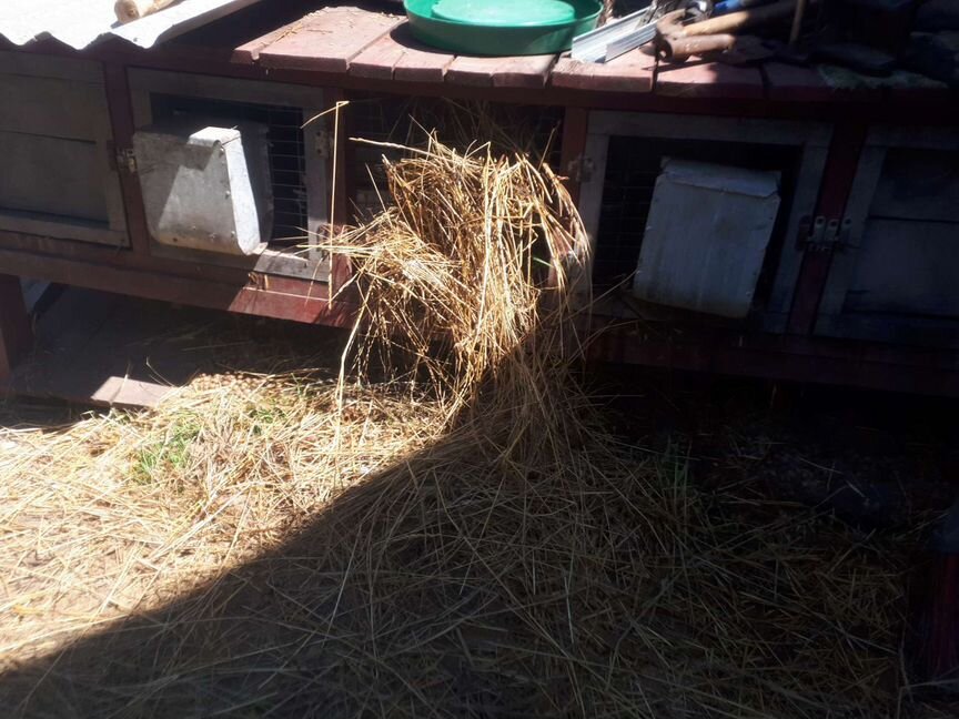 Клетки для кроликов