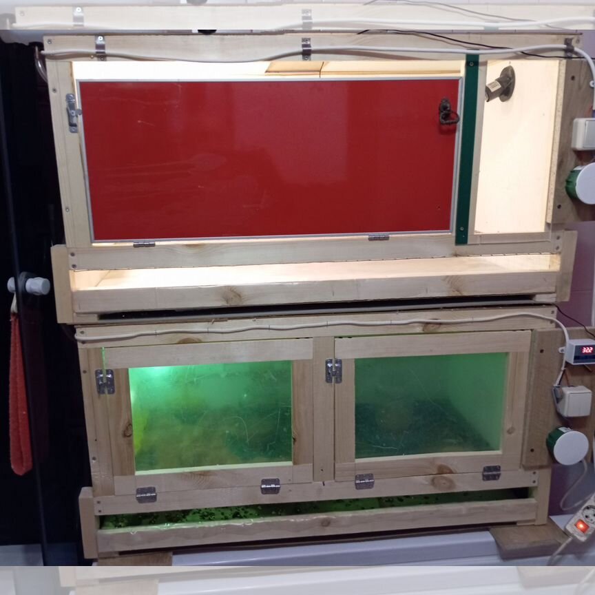 Брудер для цыплят с терморегулятором