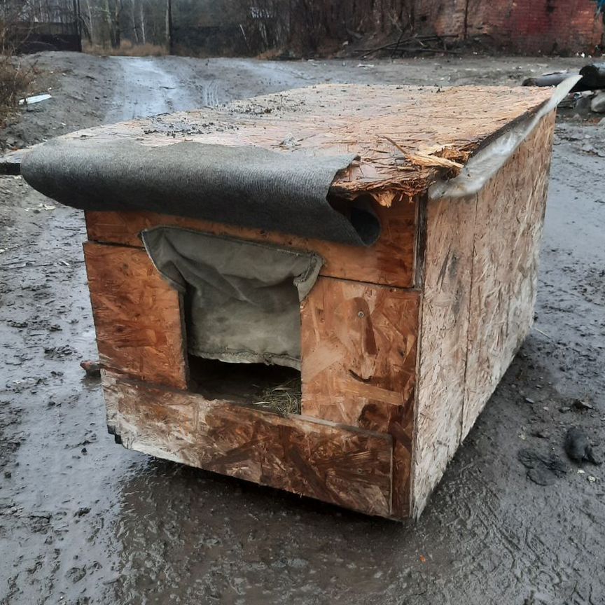 Будка для собаки утепленная бу