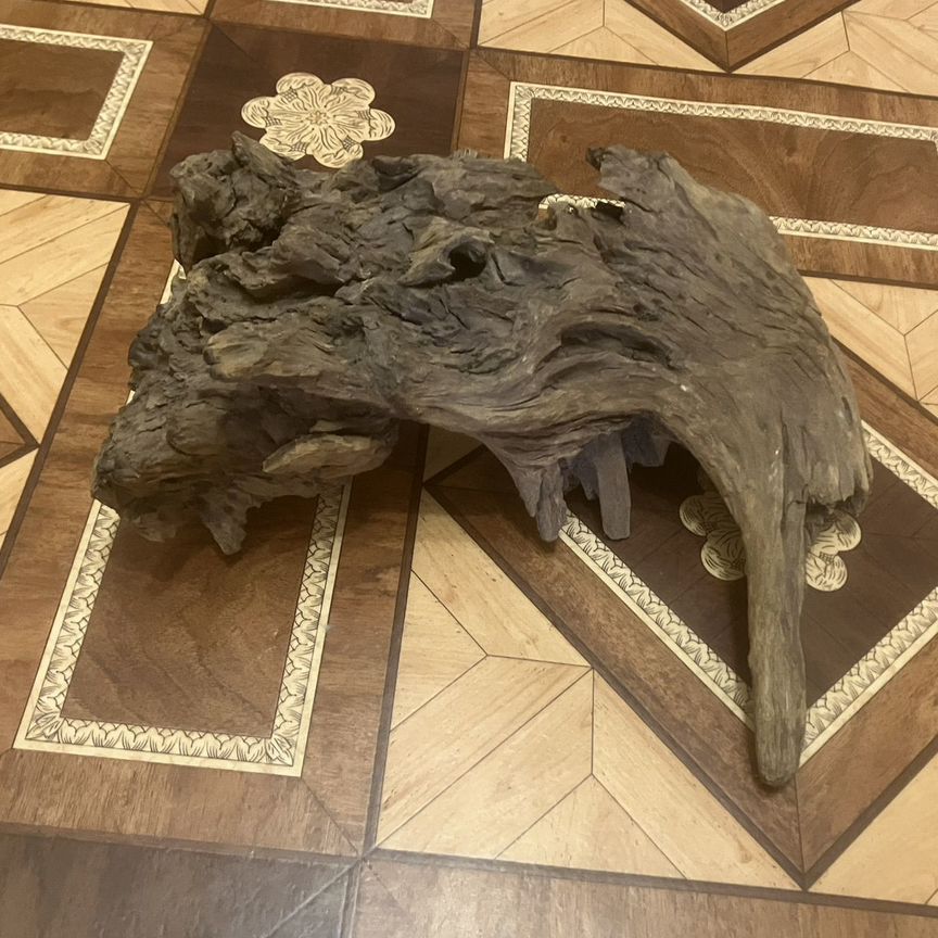 Коряга в аквариум бу