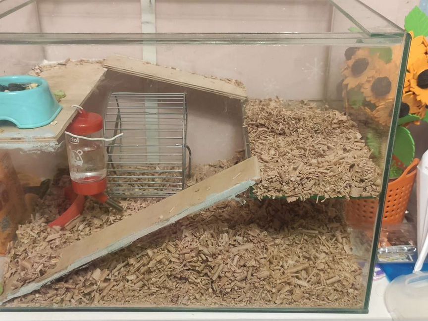 Аквариум для хомяка