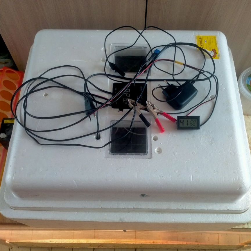 Инкубатор для яиц